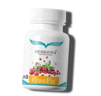 لیست محصولات موجود در گروه تولیدی ویوا گروپ